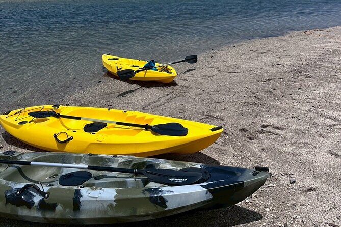 Yakushima Adventure Gear Rentals for Outdoor Fun - Value and Suitability