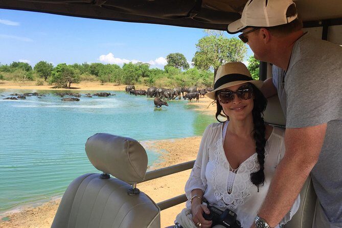 Yala Full Day Safari with Picnic Lunch - Private & All Inclusive - Practical Considerations
