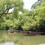 Yanagawa & Dazaifu Cultural Explorer  Cruise-Friendly Tour - What the Tour Really Means for You