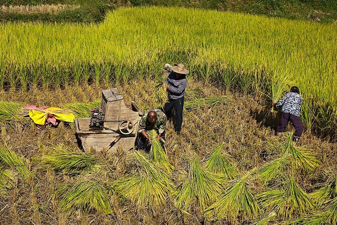 Yangshuo Highlights Li River Cruise and Biking Along Yulong River - Price and Value Analysis