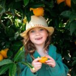 Yarra Valley: Orchard Tractor Tour with Fruit Tasting - The Itinerary: A Closer Look