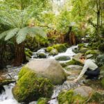 Yarra Valley: Redwood Forest Mountain Bike Adventure - The Practicalities: What to Know Before You Go