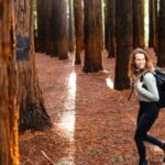 Yarra Valley | Redwoods, Wildlife, Wine, Chocolate - Practical Details and What to Expect