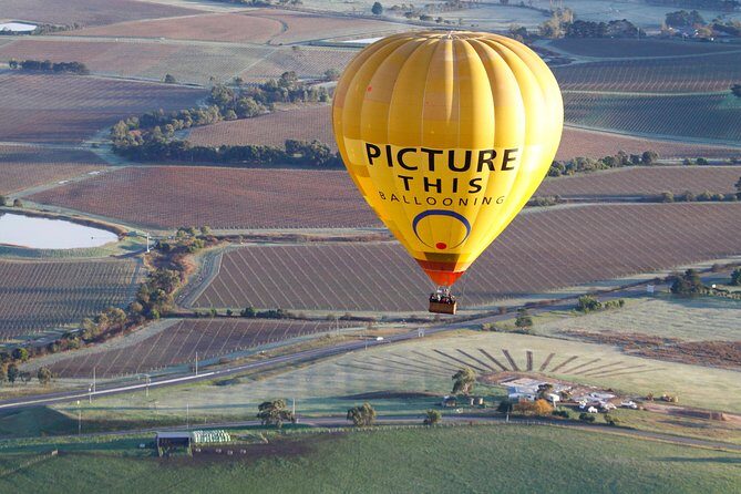 Yarra Valley sunrise balloon flight & champagne breakfast - The Sum Up