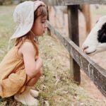 Yarramalong Valley Horse Farm Tours - Who Will Enjoy Yarramalong Valley Horse Farm Tours?