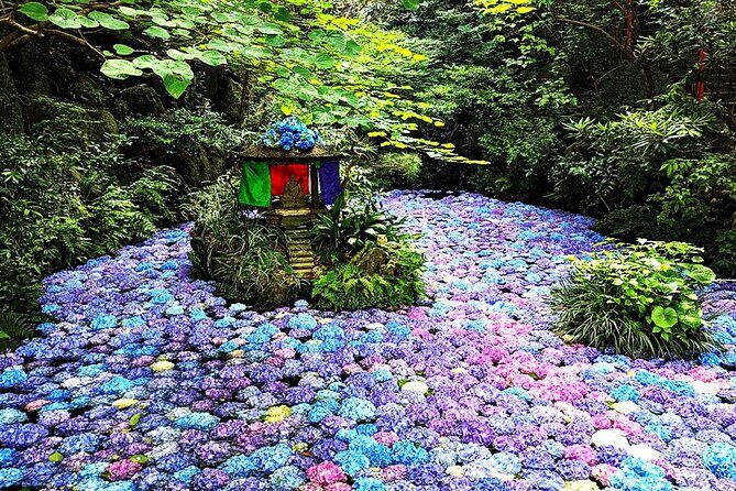 YokaBus Nanzoin Bronze Buddha, Itoshima Totoro Forest&Futamigaura - Transportation, Group Size, and Value