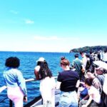 Yokosuka: Guided Island Tour to Sarushimas Forgotten Fort - The Sum Up