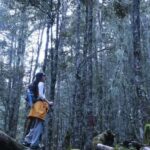 Yunnan: 3-Day Hiking Tour of Haba Snow Mountain - Who Will Get the Most Out of This Tour?