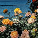 Yunnan Dali Erhai 3 Pagodas of Chongsheng Temple One Day Tour - The Sum Up