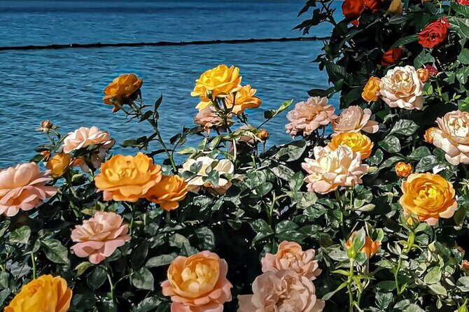 Yunnan Dali Erhai 3 Pagodas of Chongsheng Temple One Day Tour - The Sum Up