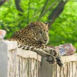 05 Days - Private Luxury Golden Triangle Tour with Ranthambore - Thorough Breakdown of the Itinerary