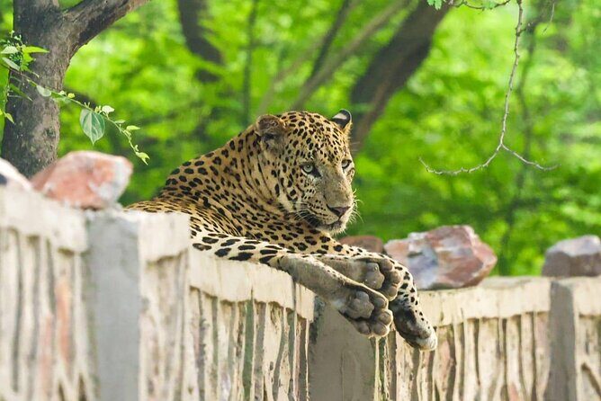 05 Days - Private Luxury Golden Triangle Tour with Ranthambore - Thorough Breakdown of the Itinerary