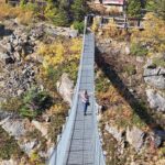 1/2 Day Yukon and Suspension Bridge Adventure - What Makes This Tour Stand Out