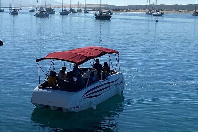 1.5 Hour Boat Rental - The Experience: What You’ll Likely Encounter