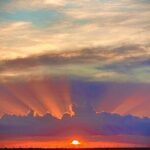 1.5 Hr Guided Private Everglades Airboat Tour, Fort Lauderdale - Why This Tour Continues to Earn Top Marks