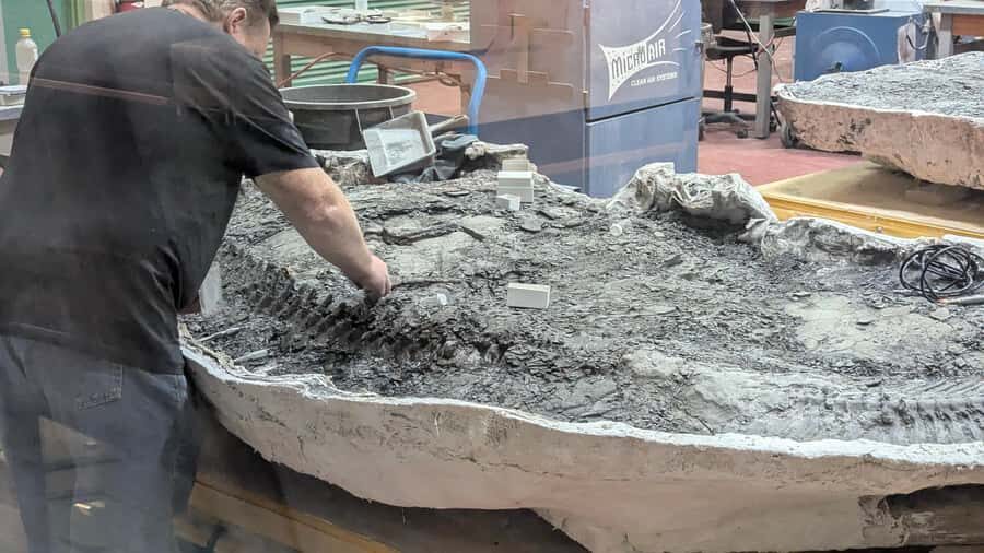 1 Day Drumheller Tour: Calgary to Hoodoos Dinosaurs Badlands - What Makes This Tour Stand Out?