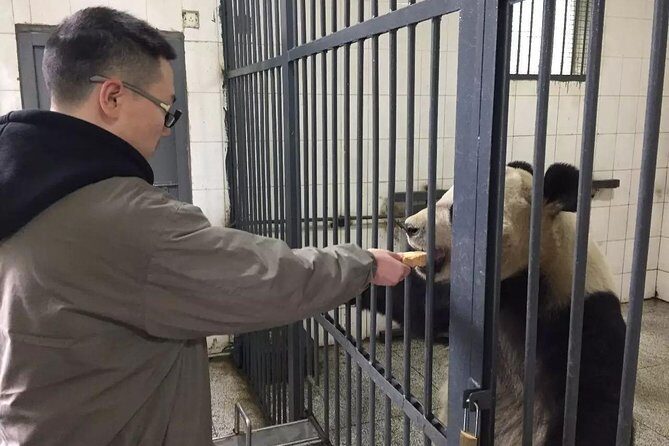 1-Day Dujiangyan Tour: Panda Volunteer Program and Mount Qingcheng - Authentic Experiences and Additional Insights