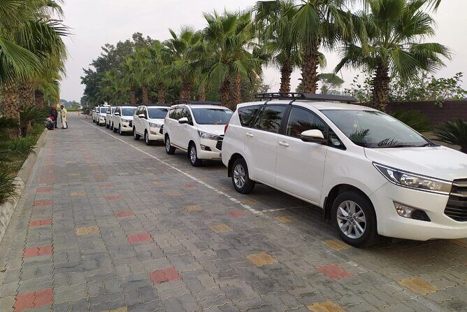 1-Day Excursion Golden Temple-Jallianwala-Partition Museum-Wagah - What to Expect from the Itinerary