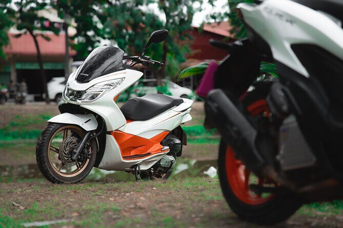 1 Day Honda PCX 150 CC Rental for 24 hours At Siem Reap Scooter - Who This Rental Is Best For
