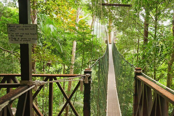 1-Day Jungle Thrill in Taman Negara Tour from KL - An In-Depth Look at the Taman Negara Day Trip