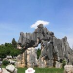 1-Day Private Tour:Stone Forest and Western Hill(Dragon Gate) from Kunming - Transportation and Logistics