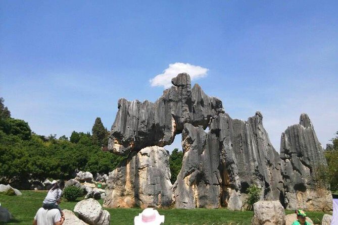 1-Day Private Tour:Stone Forest and Western Hill(Dragon Gate) from Kunming - Transportation and Logistics