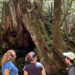 1 Day Shiratani Unsuikyo Adventure - Does It Offer Good Value?