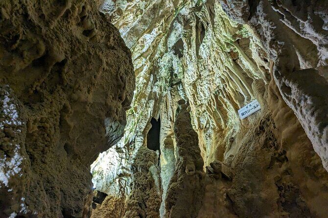 1-Day Tour from Takayama: Hida Folk Village, Caves & Ropeway - Practical Details and Value