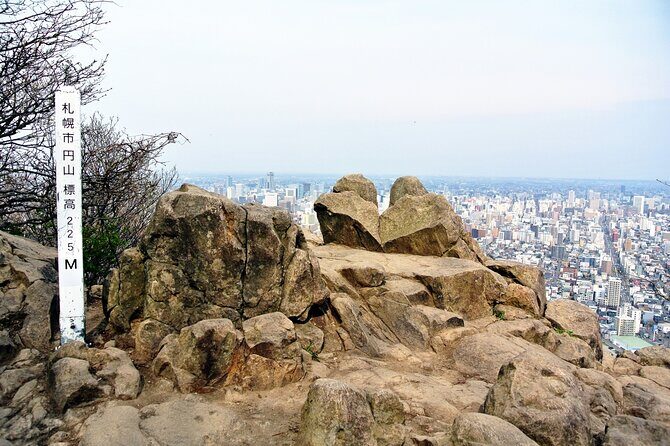 1 Day Tour in Sapporo Mt Maruyama Hike and Okurayama Ski Jump - The Maruyama Hike: A Closer Look