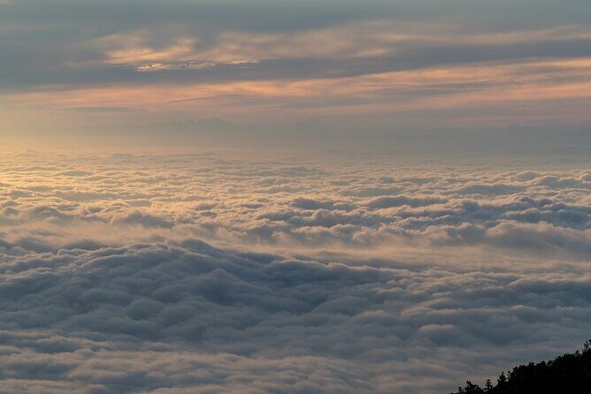 1 Day Tour to Oshino Hakkai Ole Hot Spring in Mount Fuji - Transportation & Group Dynamics