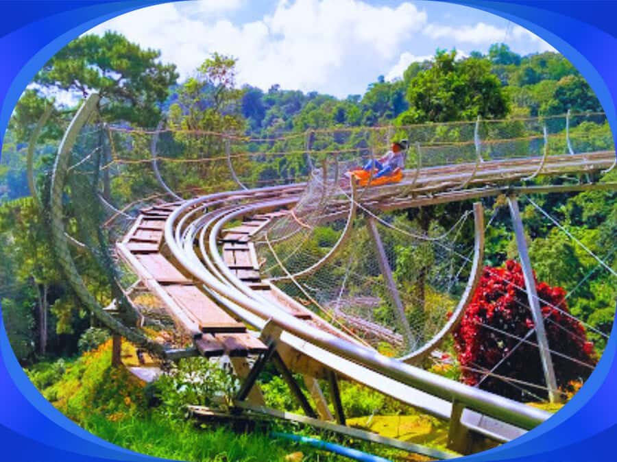 1-Day Trip: Chiang Mai to Mon Jam Adventure. - The Itinerary: What to Expect and Why It Matters