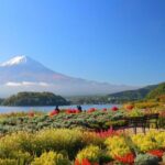 1 Day Trip to Mt. Fuji and in Five Lakes around the area - What Travelers Are Saying
