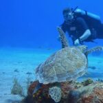 1 DPV dive at Director's Bay in Curacao - Who Will Love This Tour?