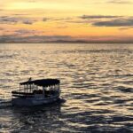 1 Hour and 30 Minutes Island Sightseeing Cruise on the Sound - Who will love this cruise?