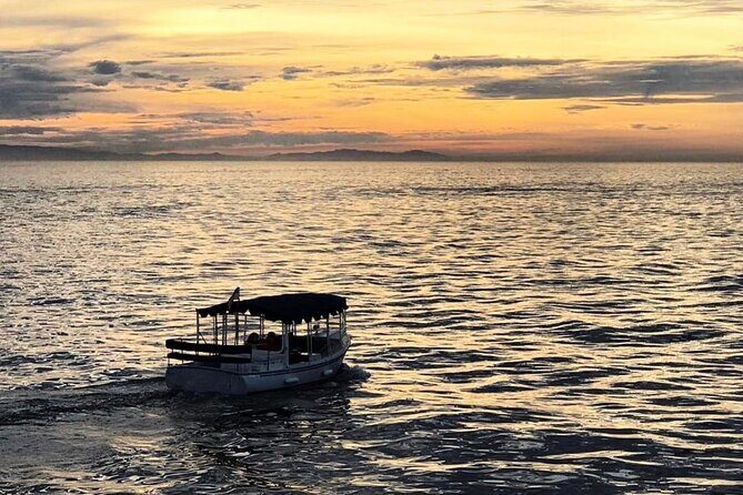 1 Hour and 30 Minutes Island Sightseeing Cruise on the Sound - Who will love this cruise?