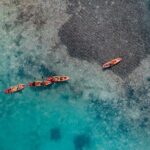 1 Hour Mangrove Kayak Tour - FAQs