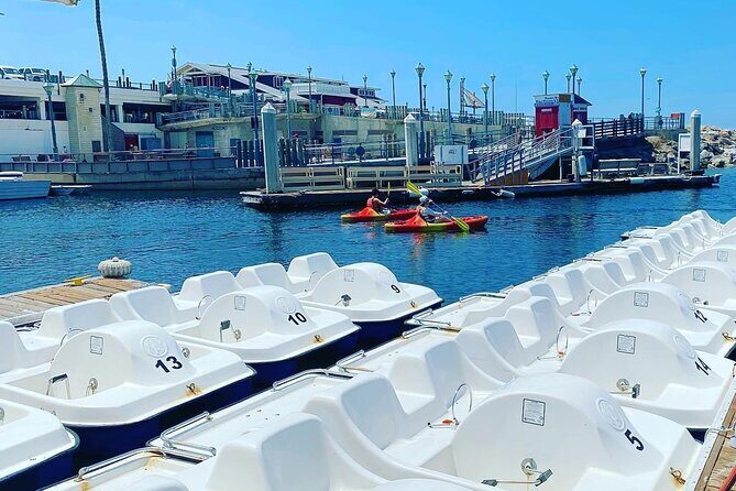 1-Hour Pedal Boat Rental in Redondo Beach - The Value of the Experience