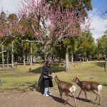 1 Hour Private Photoshoot in Nara - Final Thoughts