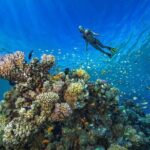 1 Hour Private Snorkeling Activity In Montego Bay - What’s Included and What’s Not