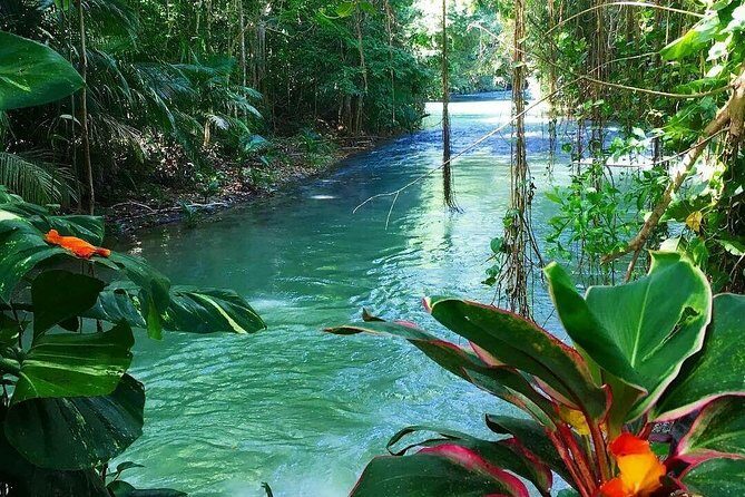 #1 Martha brea bamboo rafting - The Downside: Considerations for Your Planning