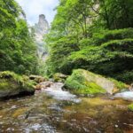 1 "Pandora" Day Trip-Zhangjiajie National Park(Avatar Mountain Scenery) - The Authentic Experience