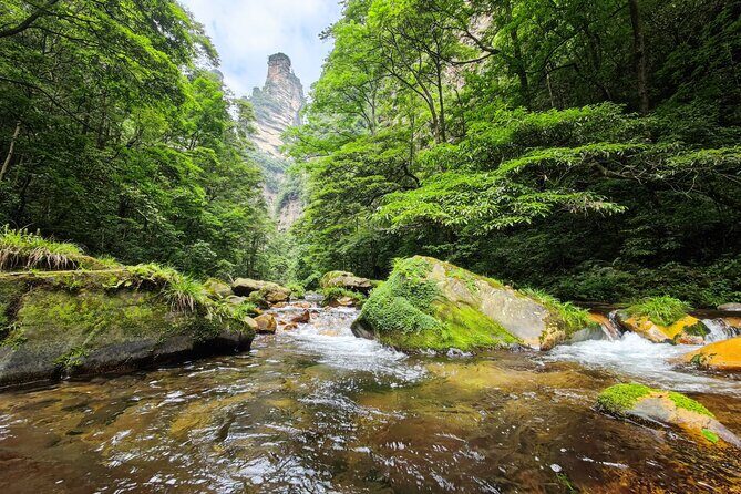 1 "Pandora" Day Trip-Zhangjiajie National Park(Avatar Mountain Scenery) - The Authentic Experience