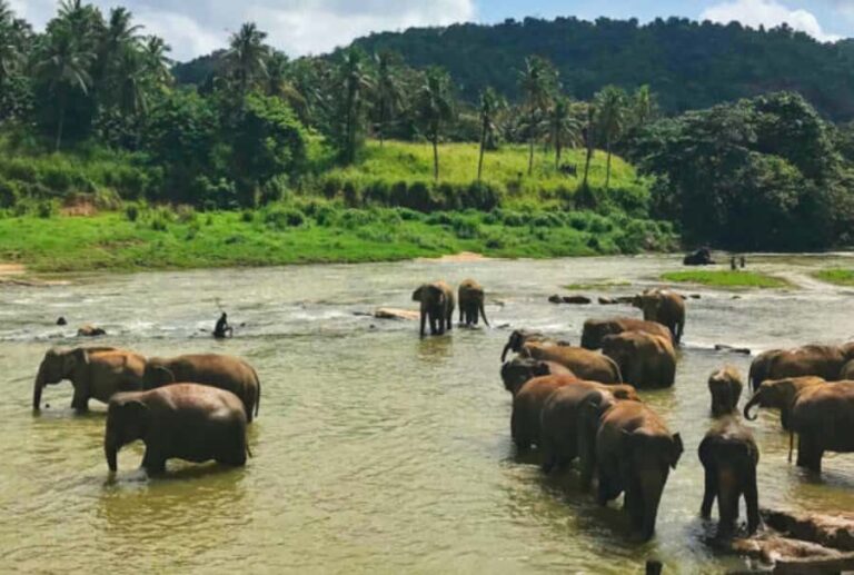 10 Day Flash Tour of Sri Lanka Cover 7 Land Marks! - Overview of the Tour
