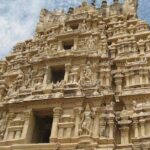 12 Day The Southern Feast, Karnataka and Goa Private Guided Tour - Who Is This Tour Best For?