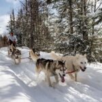 15 min. Tadoussac : Dog Sled Excursion in Saguenay Fjord - The Experience in Detail