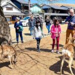 16 Days Japan and China Discovery Private Guide - FAQ