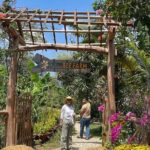 1Day Tour Phu Quoc Northern Island & kayaking Adventure - The Practicalities: What This Tour Means for You