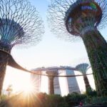 2-4 days in Singapore Guided Tour Pass - Exploring the Itinerary: What You Can Expect