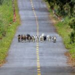 2-Day Adventure Cat Ba Archipelago, Viet Hai Village & Lan Ha Bay - Exploring the Itinerary: A Closer Look