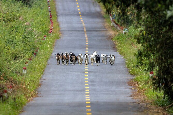 2-Day Adventure Cat Ba Archipelago, Viet Hai Village & Lan Ha Bay - Exploring the Itinerary: A Closer Look